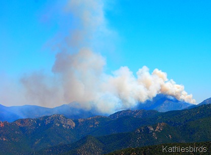 Sycamore Canyon: Fire in the Chiricahuas!